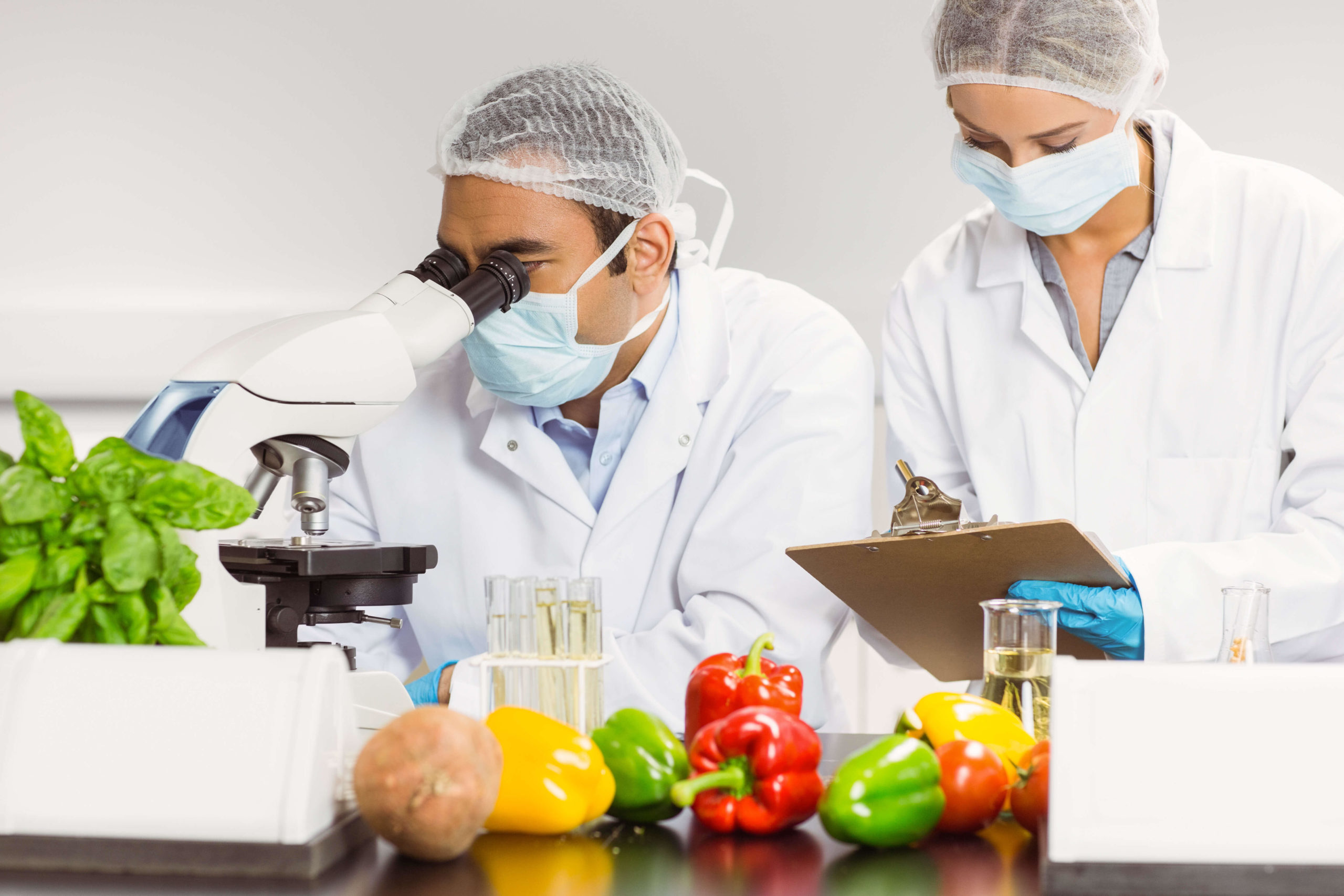 Food Science Training with Certification in Chennai
