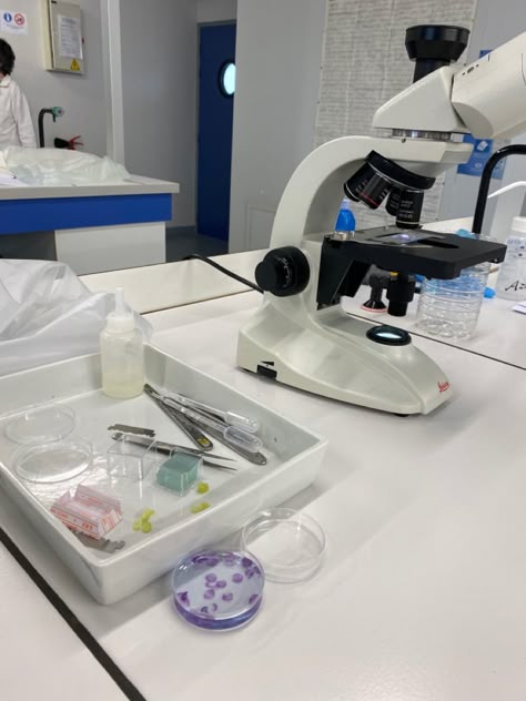 Microbiology Research Testing Laboratory in Chennai | Veridian